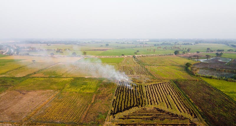 Aerial View of the Smoke from Burning Rice Fields Air Pollution Dust ...