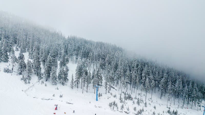 Aerial View of the Snow-covered Christmas Tree in Mountains Stock Image ...