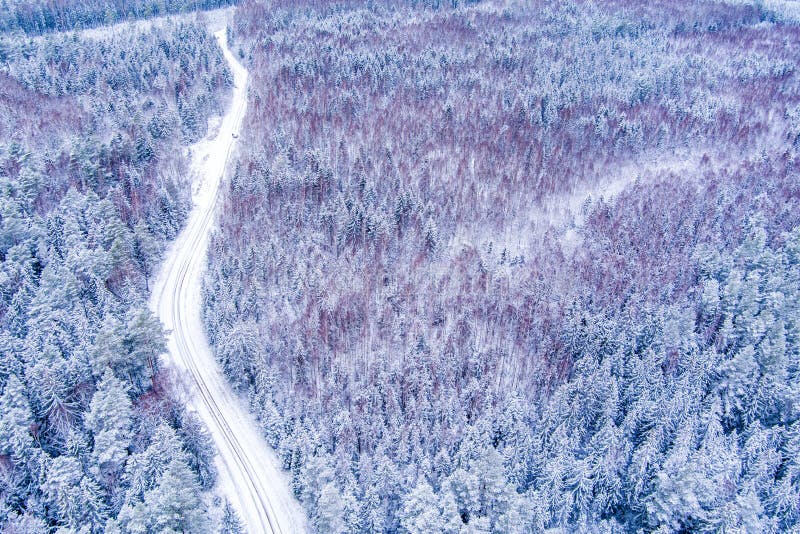 Aerial View of Snow Covered Forest with Road Stock Photo - Image of ...