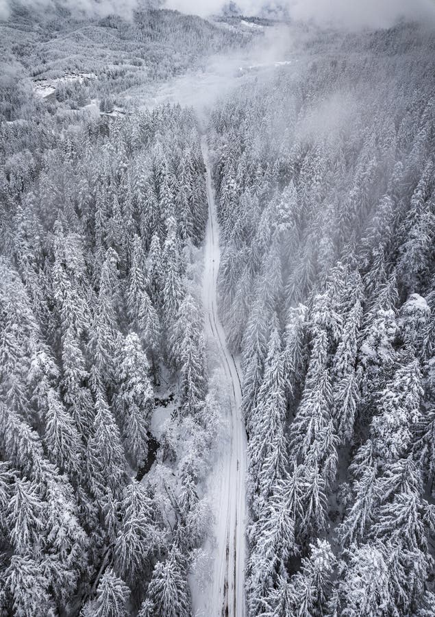 Aerial View of Snow Covered Trees and Snow Covered Road in the M Stock ...