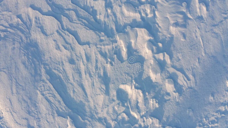 Strong Wind Blowing Against the Paddy Plants. Stock Footage - Video of ...