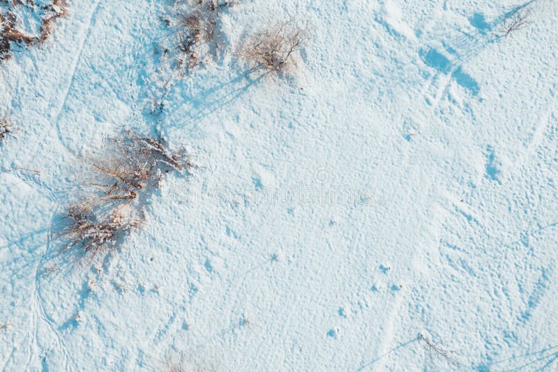 Aerial View of Snowy Wasteland with Bare Trees Stock Image - Image of ...
