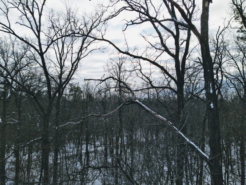 Aerial View of Snowy Winter Forest in Cloudy Day Stock Image - Image of ...