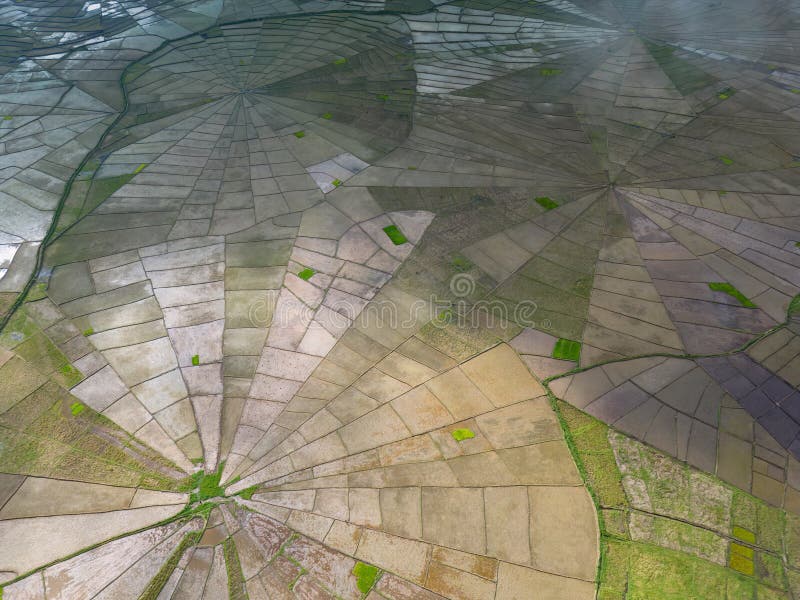Aerial View of Spider Web-shaped Rice Terraces in Flores, Indonesia ...