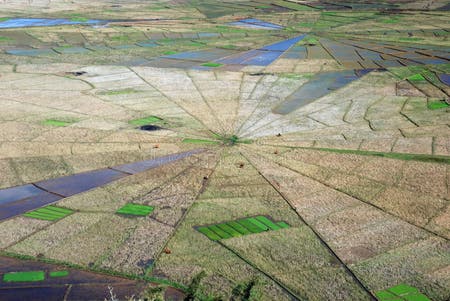 Aerial View Spiders Web Shaped Rice Fields Stock Image - Image of field ...