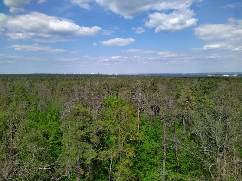 Aerial View of Spring Forest and Cityscape Stock Image - Image of ...