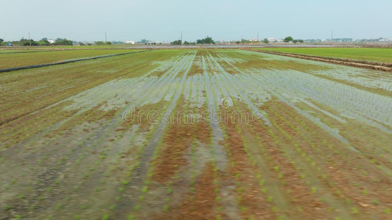 Aerial View of Traffic at the Intersection of a Road Bridging a Highway ...