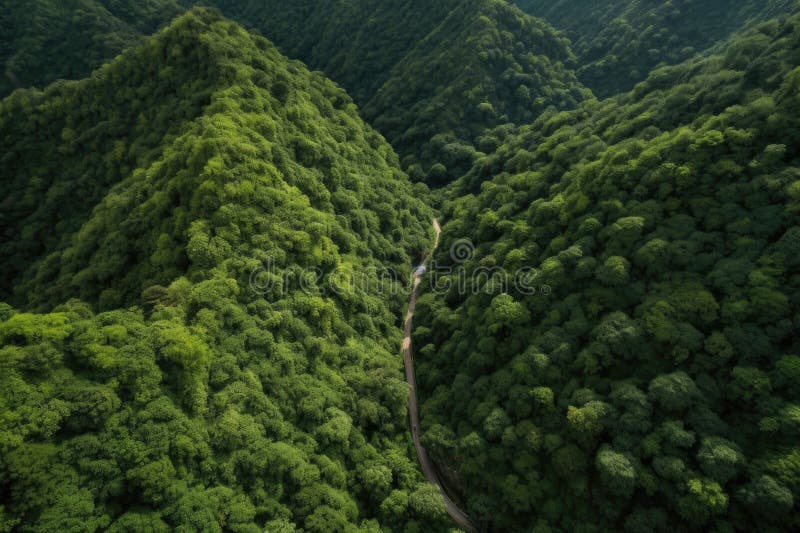 Aerial View of Steep Mountain Path through Forest Stock Illustration ...