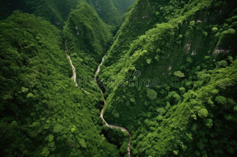 Aerial View of Steep Mountain Path through Forest Stock Illustration ...