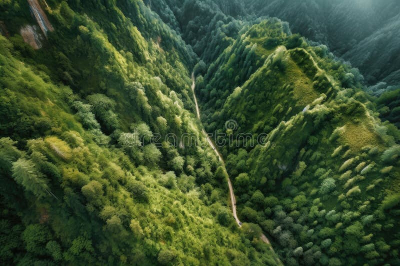 Aerial View of Steep Mountain Path through Forest Stock Illustration ...