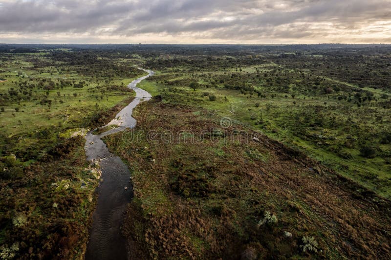 Aerial View of a Stream Flowing through Vast Open Fields with Lush ...
