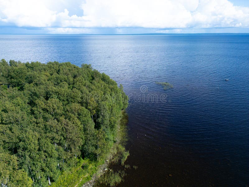 Aerial View Summer Forest and Lake. Coastline Above from Drone. Aerial ...