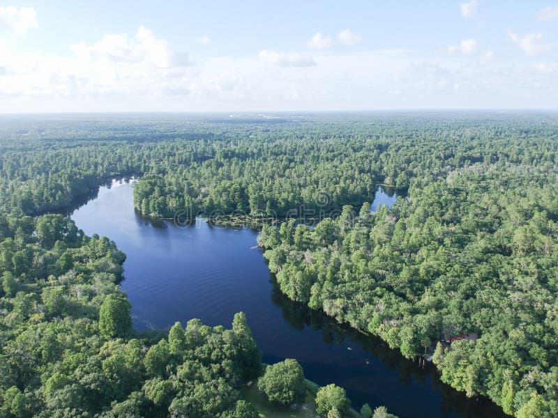 Aerial View of Summer Tree in Florida Stock Photo - Image of paradise ...
