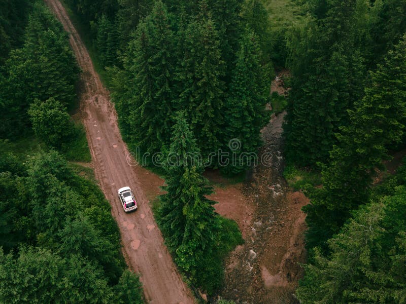 Aerial View of Suv Car on Trail Road in Forest Stock Image - Image of ...