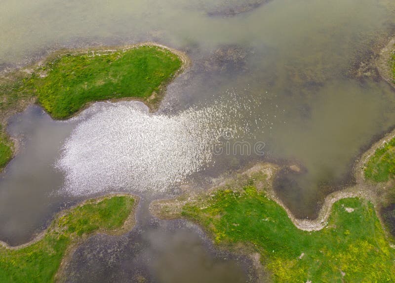 Wetland, swamp, top view stock photo. Image of marshland - 23048772