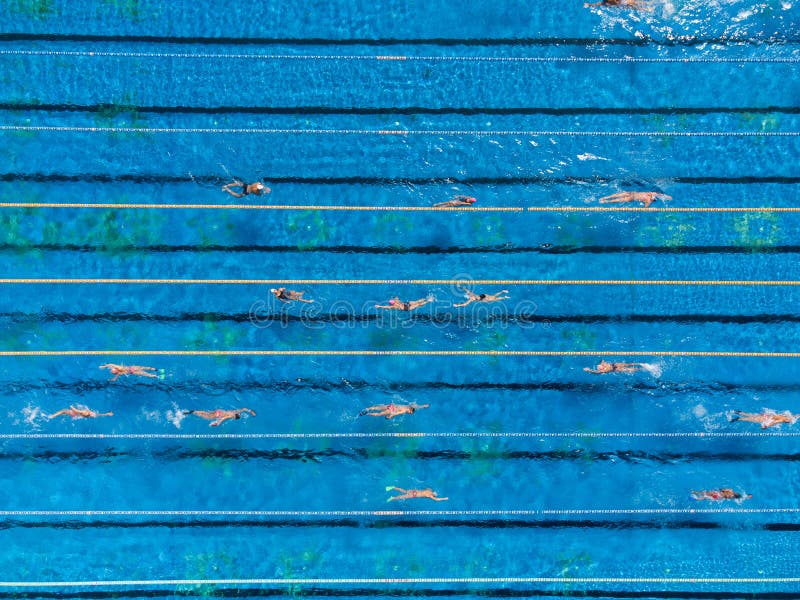 Aerial View of Swimmers in a Open Swimming Pool Stock Photo - Image of ...