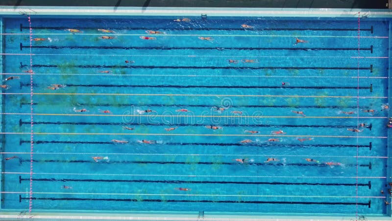 Aerial View of Swimmers in a Open Swimming Pool Stock Video - Video of ...