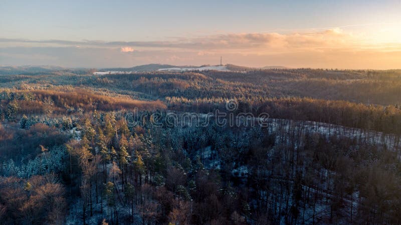 Nature, Temperate Broadleaf And Mixed Forest, Ecosystem, Leaf Picture ...