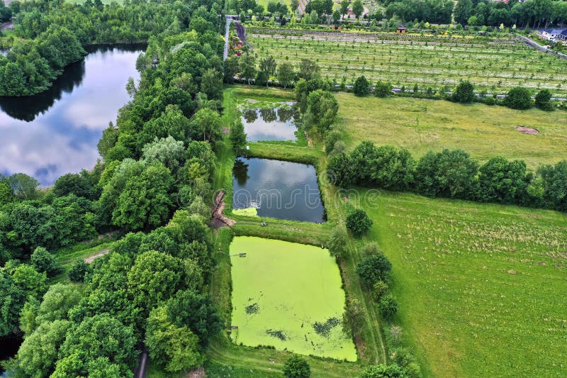 Aerial View of Three Rectangular Fish Ponds for Freshwater Fish Farming ...