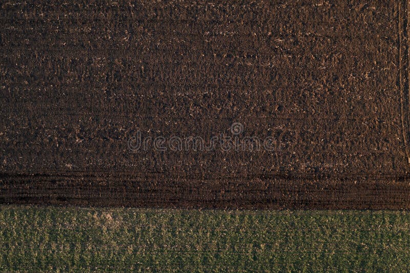 Aerial View of Tilled Field in Sunset, Top View Stock Photo - Image of ...