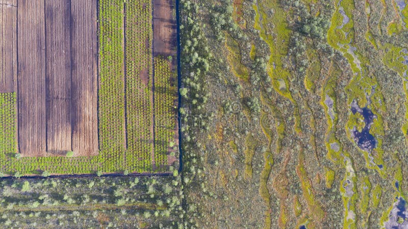 Aerail of the Partly Destroyed Bog Landscape Stock Photo - Image of ...