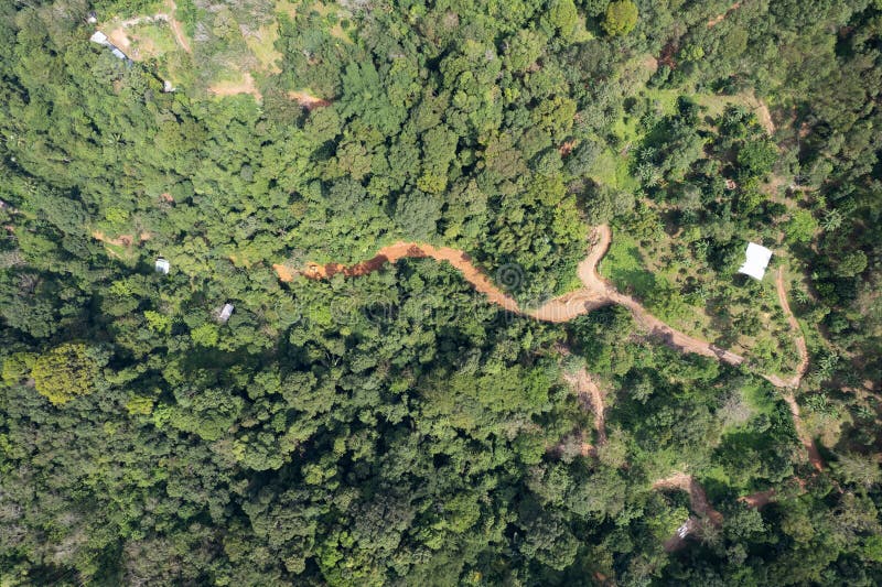 Aerial View Top Down Dirt Road in the Forest, Mountains Nature ...