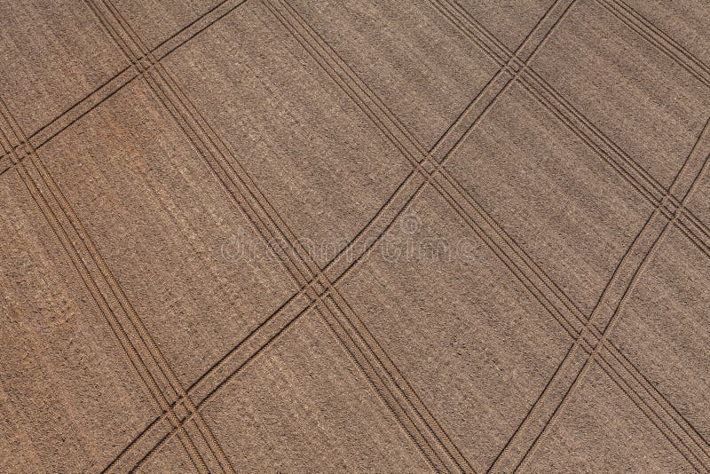 Aerial View of the Tractor Tracks on the Harvest Field Stock Image ...
