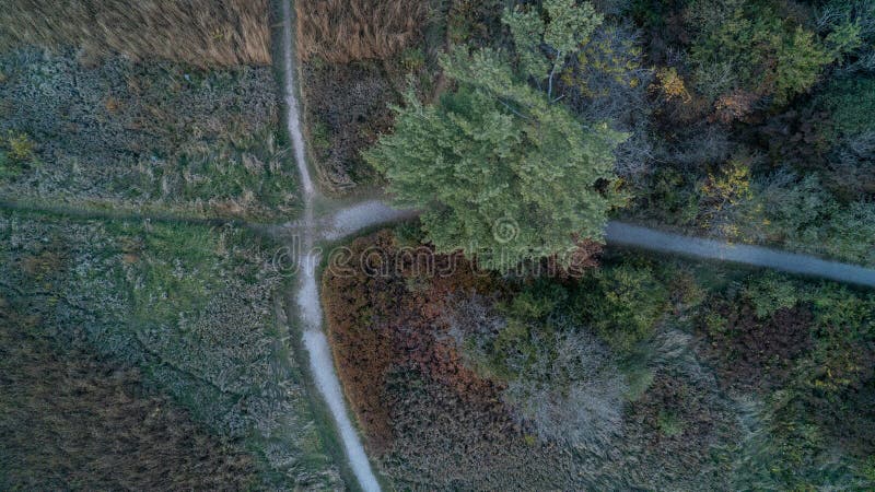 An Aerial View of Trails Crossing in a Field Stock Image - Image of ...