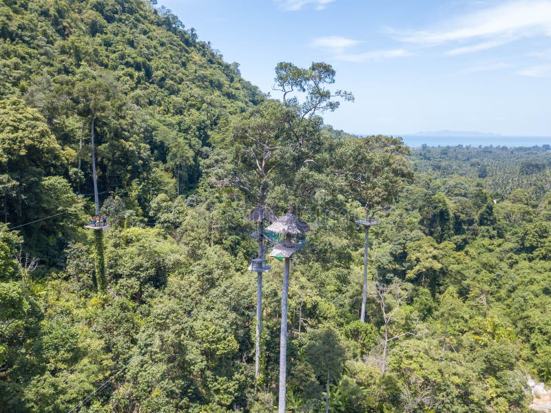 Aerial View of Tree Houses with Zip Lines Stock Image - Image of scenic ...
