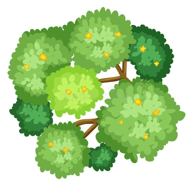 An aerial view of a tree stock vector. Illustration of everyday - 41141218