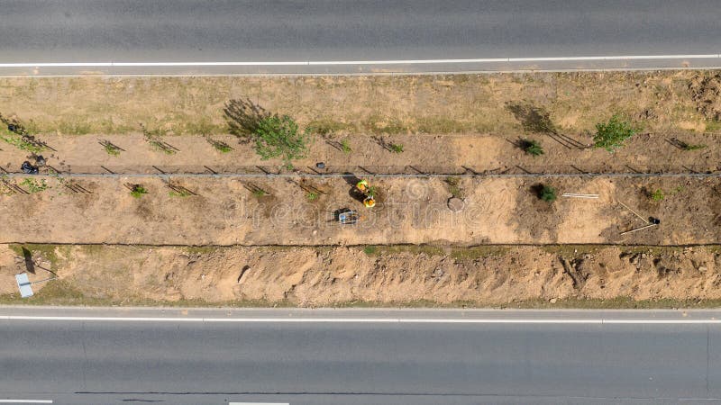 Aerial View of Tree Planting on Highway Median Stock Image - Image of ...