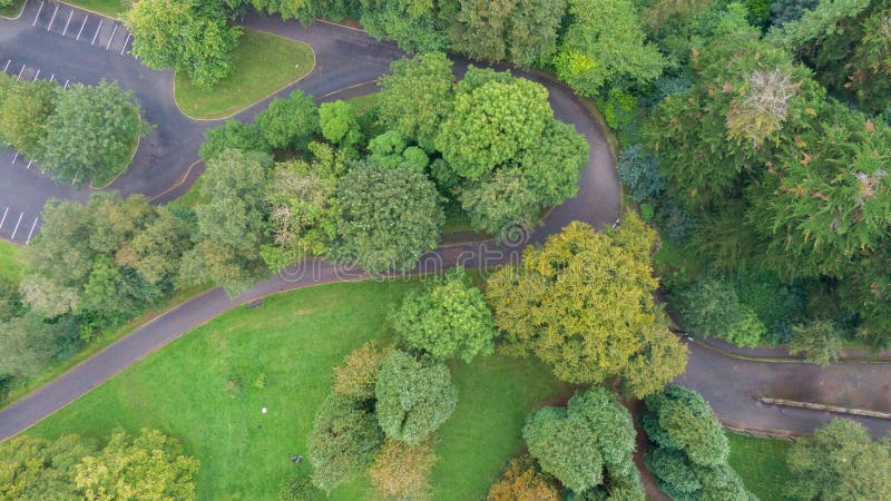 Aerial View on Trees and Footpath in Park. Top View on Forest Stock ...
