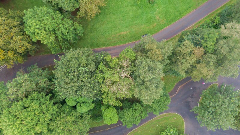 Aerial View on Trees and Footpath in Park. Top View on Forest Stock ...