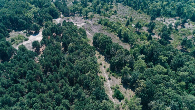 Aerial View of the Trees. Forest. Summer. Day. Kiev. Ukraine. Stock ...