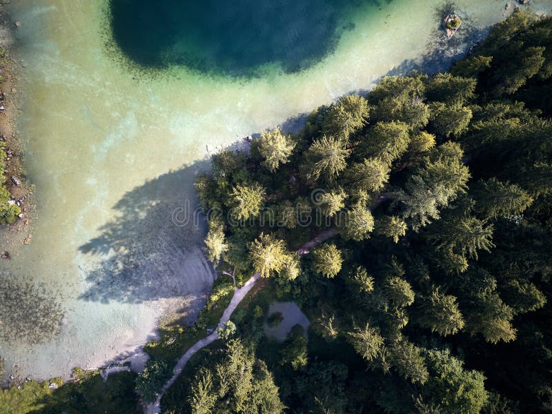 Aerial View of Trees Near the Lake and the Forest from Above Stock ...