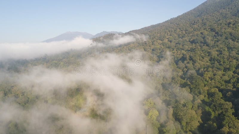 Tropical Landscape Rainforest and Mountains Stock Photo - Image of ...