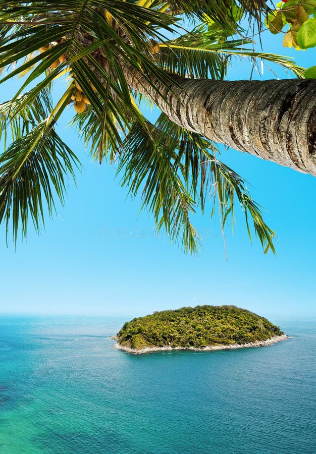 Tropical island stock image. Image of morning, tropic - 29971803