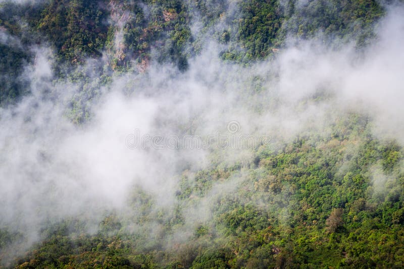 Aerial View of Tropical Rainforest Covered by Cloud and Fog Stock Photo ...