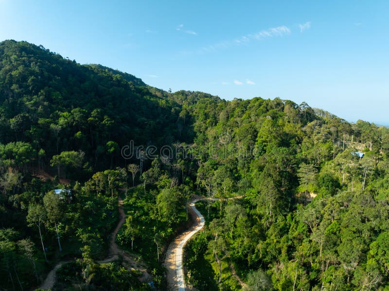 Aerial View Tropical Rainforest Trees Mountains Stock Photo - Image of ...