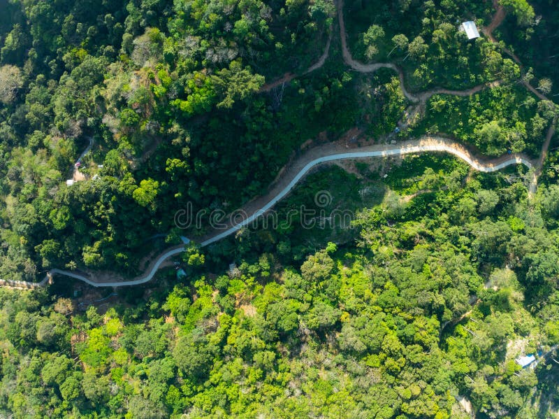 Aerial View Tropical Rainforest Trees Mountains Stock Image - Image of ...