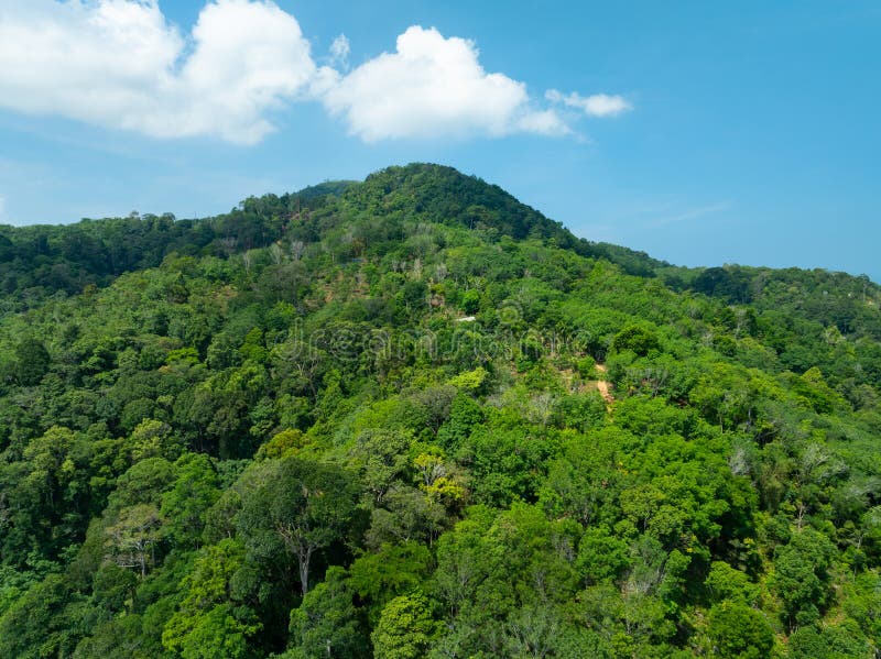 Aerial View Tropical Rainforest Trees Mountains Stock Image - Image of ...