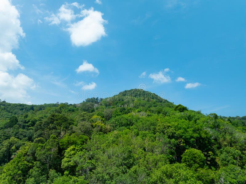 Aerial View Tropical Rainforest Trees Mountains Stock Image - Image of ...