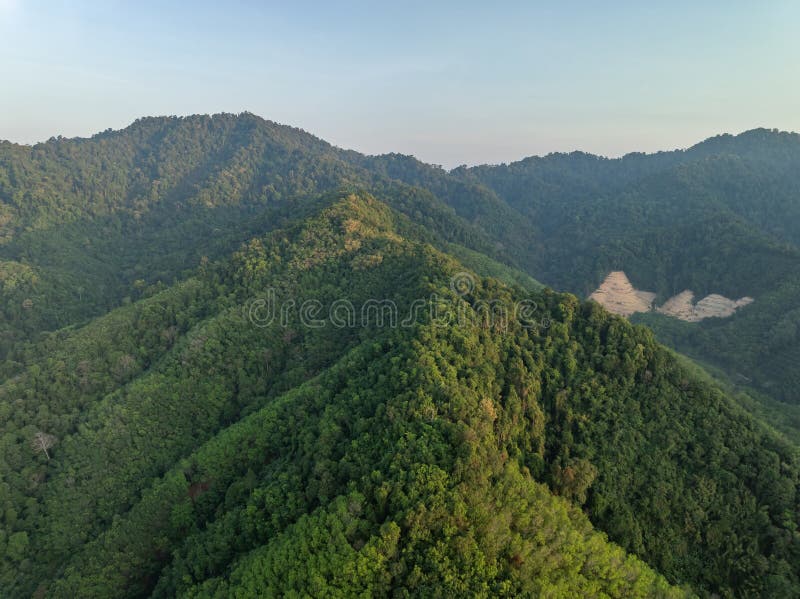 Aerial View Tropical Rainforest Trees Mountains Stock Image - Image of ...