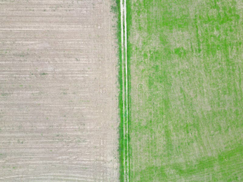Aerial View of Two Fields Divided by a Narrow Border. Stock Image ...