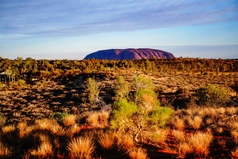 Aerial View of Uluru Field with Growing Grass Editorial Photo - Image ...