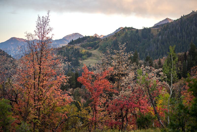 Aerial View of Utah Wasatch Mountains in Autumn Stock Image - Image of ...