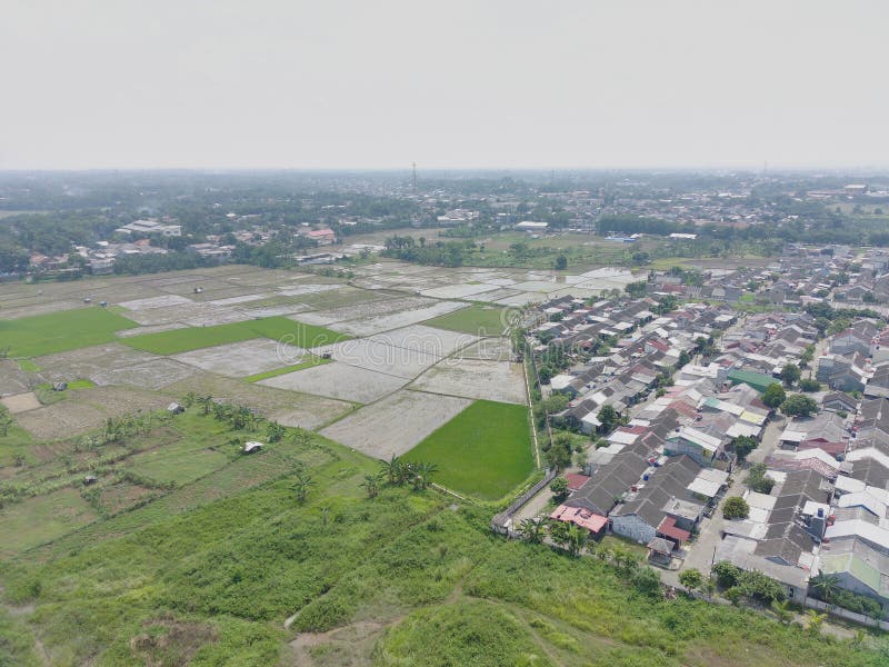 Aerial View of Various Rice Fields Pattern Stock Photo - Image of ...