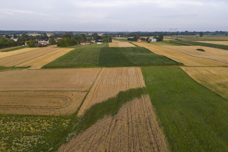 Aerial View of Vast Agricultural Fields with Patchwork Patterns of ...
