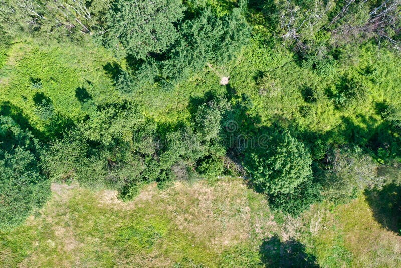 Aerial View from the Vertical with Bushes, Trees and Shrubs Next To a ...