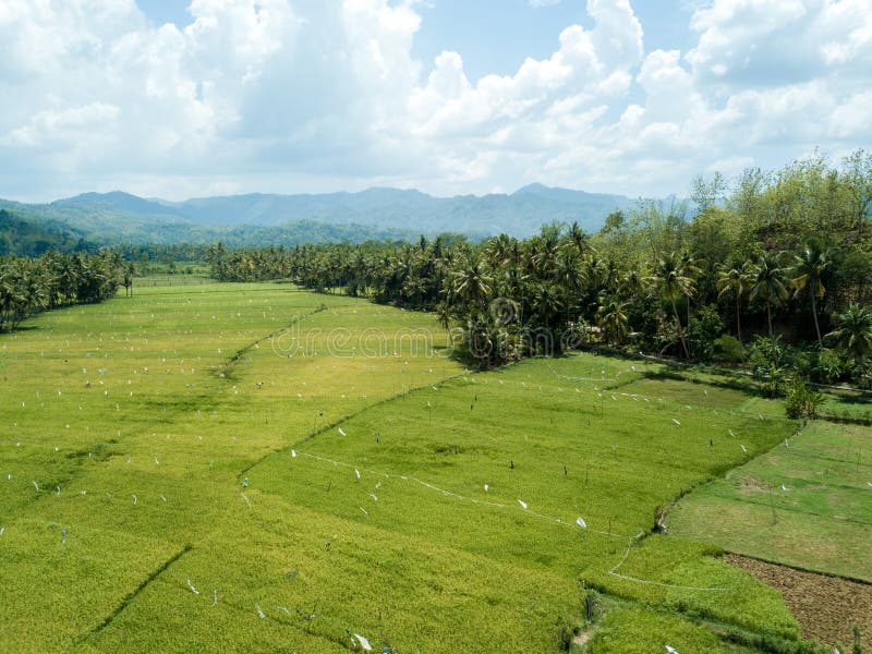 Village in a Valley with Nice Field View Under the Mountains Stock ...